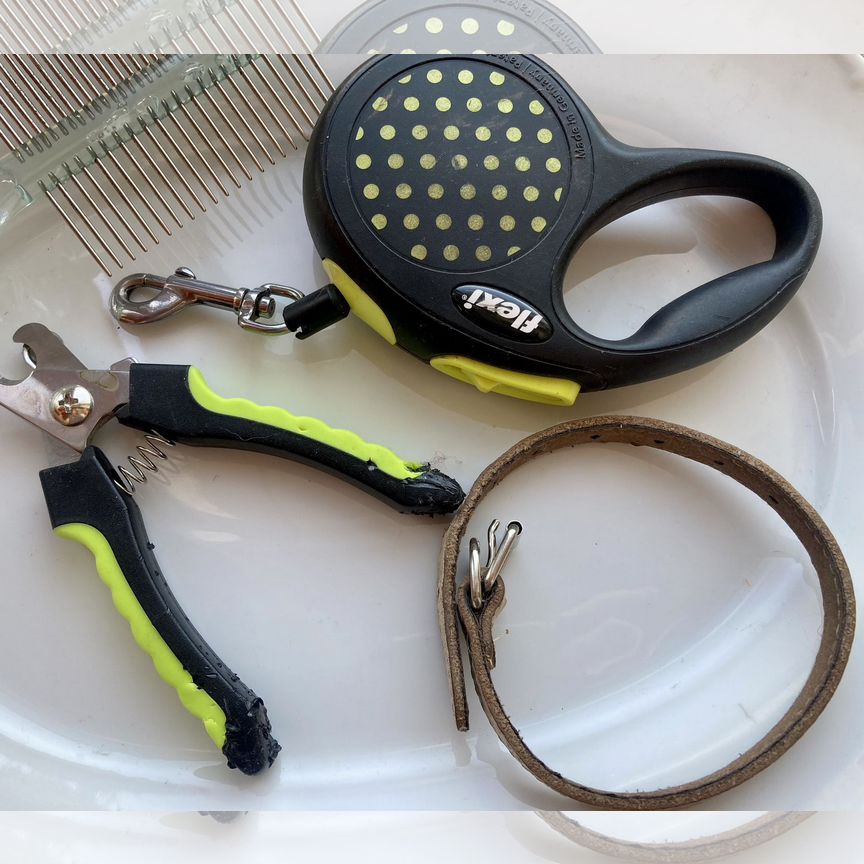 Аксессуары для собак рулетка ошейник