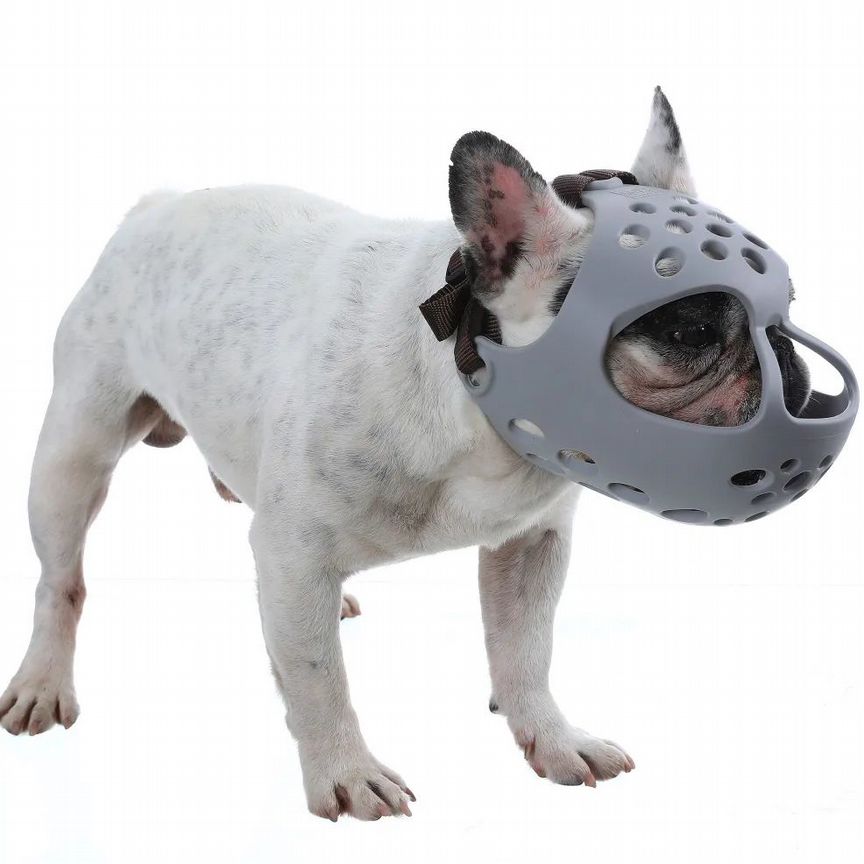 Серый намордник для собаки