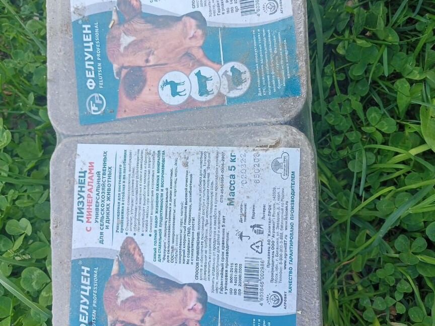 Сено. Зерно. Фелуцен