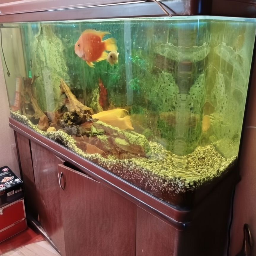 Аквариум с тумбой бу 420 литров