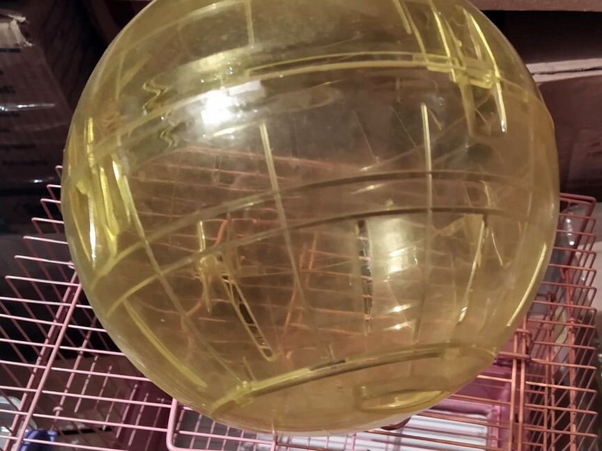 Прогулочный шар для хомяков 16 см диаметр