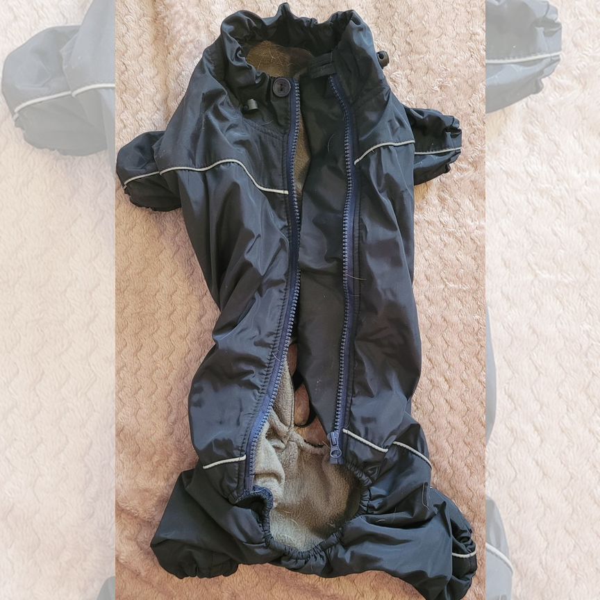 Одежда для собак мелких пород