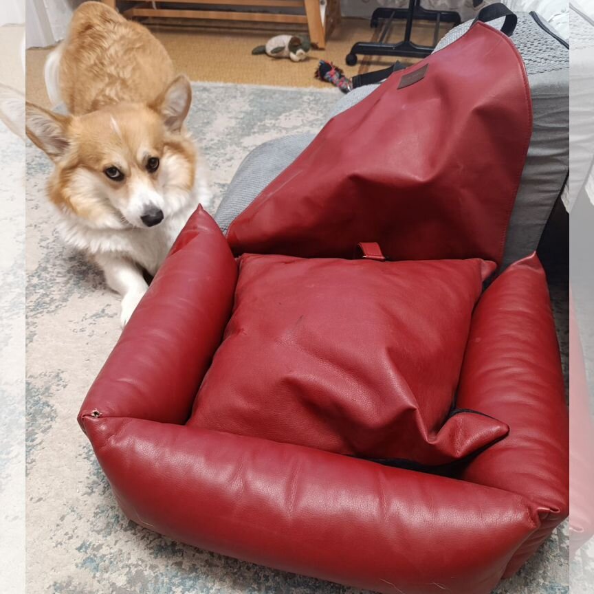 Автокресло для собак