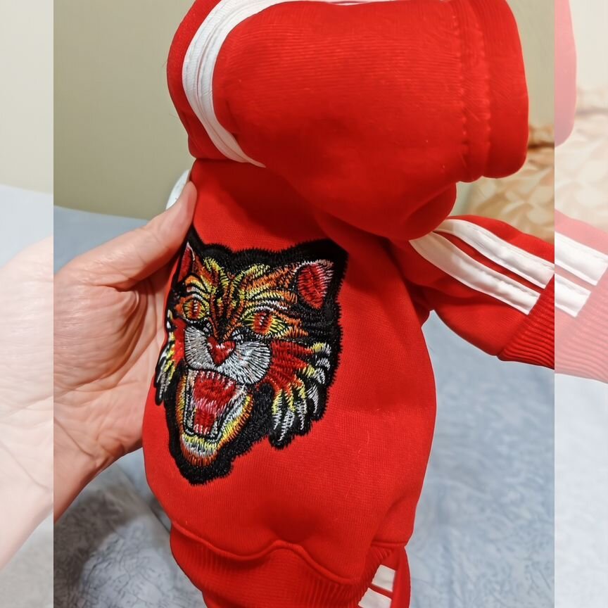 Одежда для собаки xs