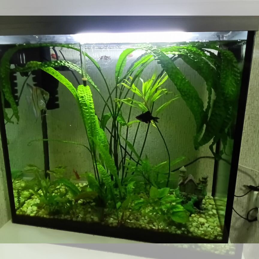 Продам аквариум