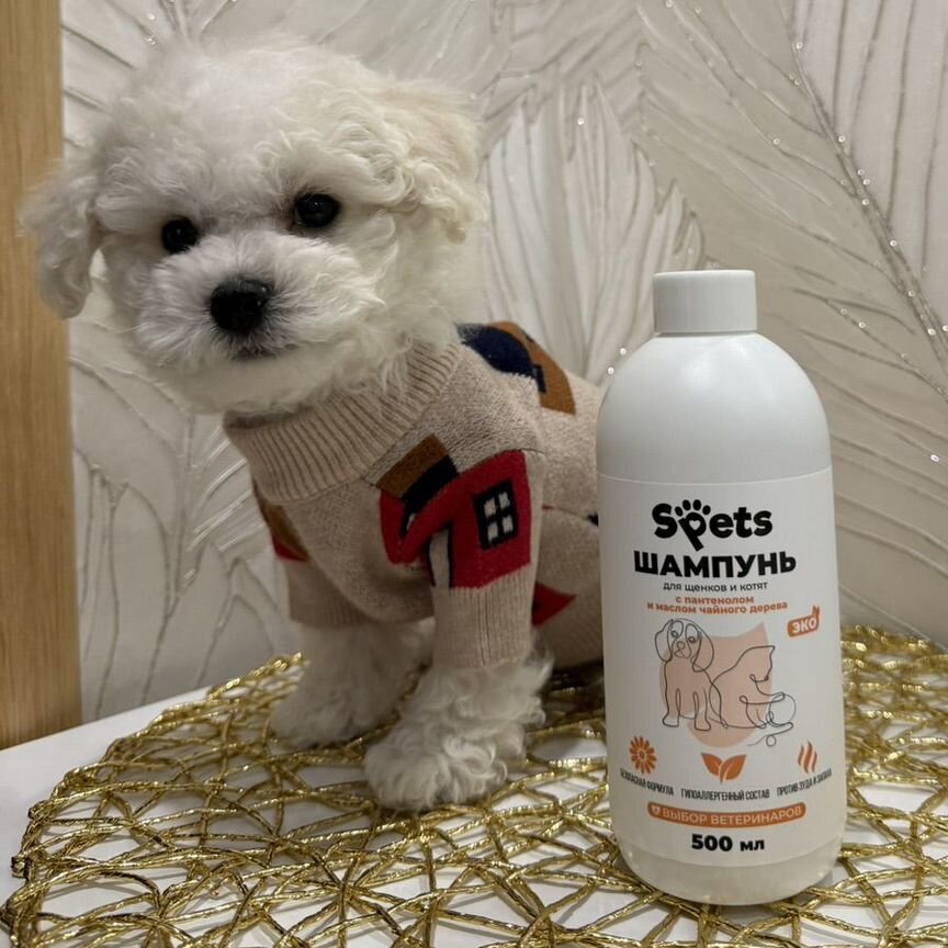 Одежда для маленьких собак