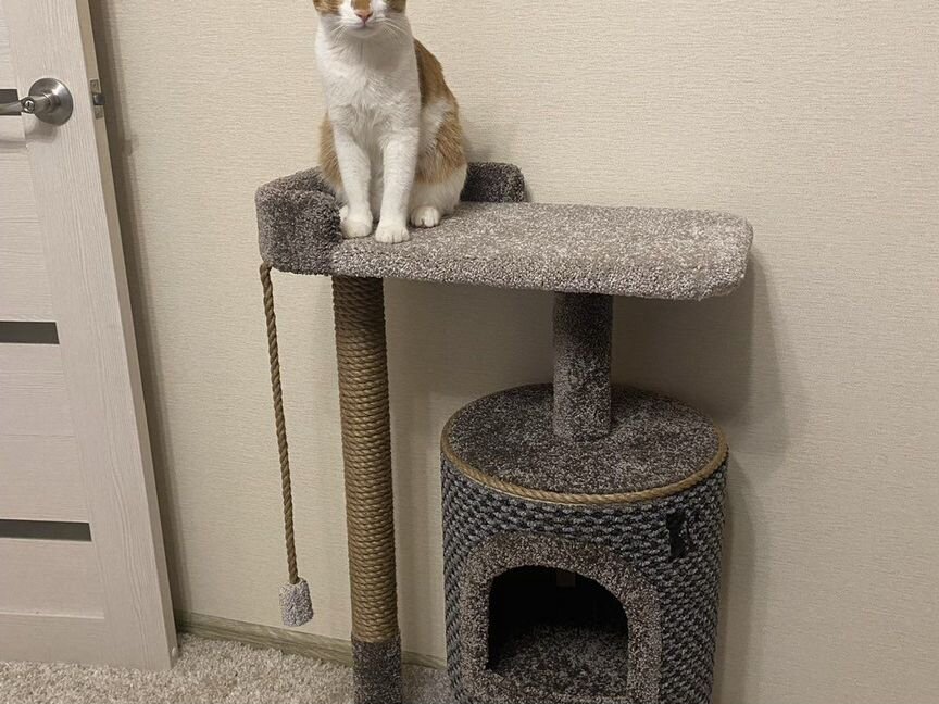 Домик для кошки