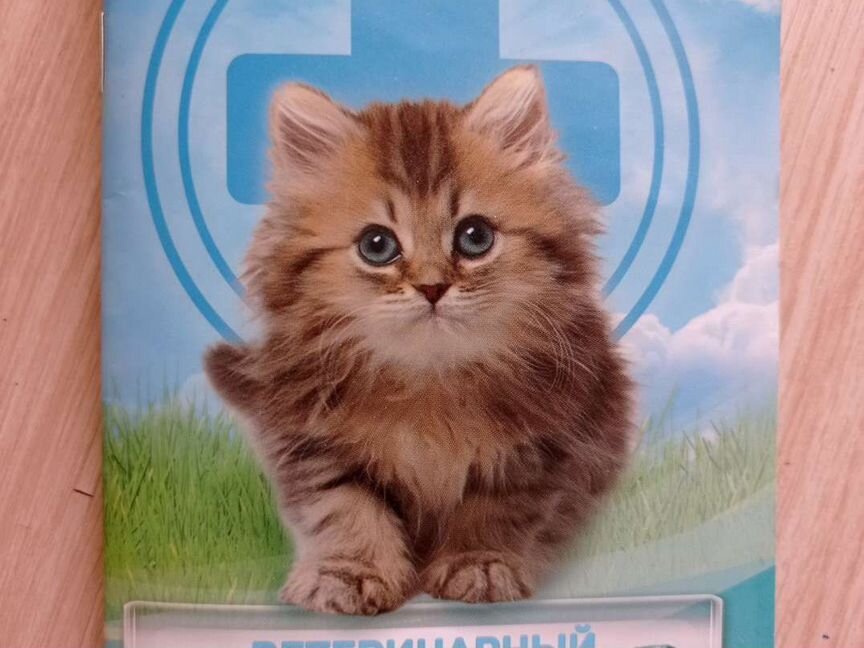 Паспорт для кошки и набор для маникюра