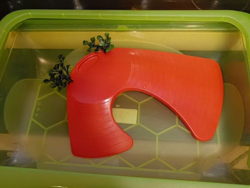 Аквариум для черепах