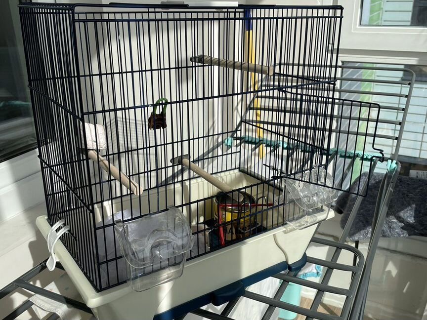 Клетка savic primo 30
