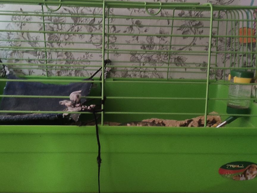 Продам клетку для морской свинки