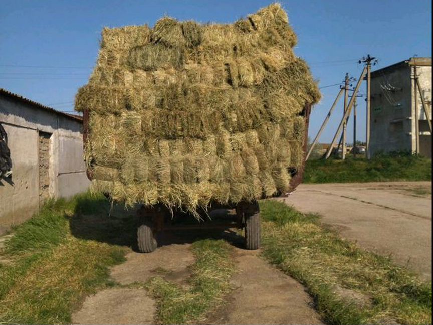 Сено в тюках