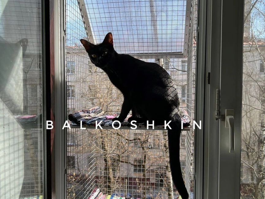 Балкон для кошек, антикошка, выгул на окно