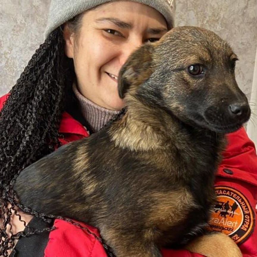 Щенок для дома и души