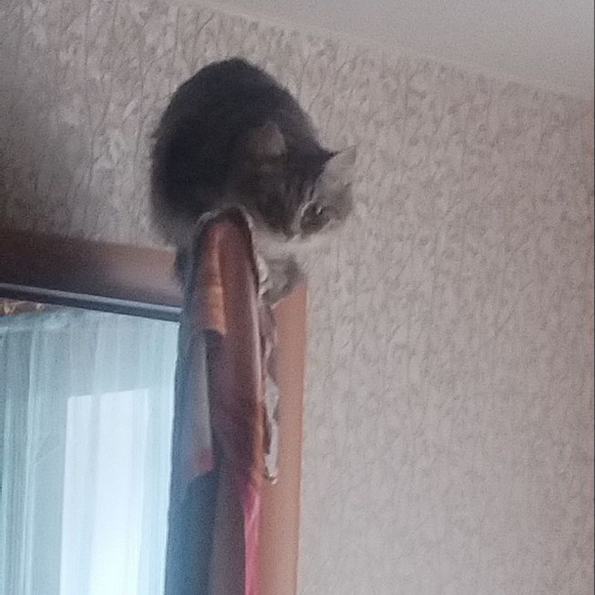 Ищем жениха