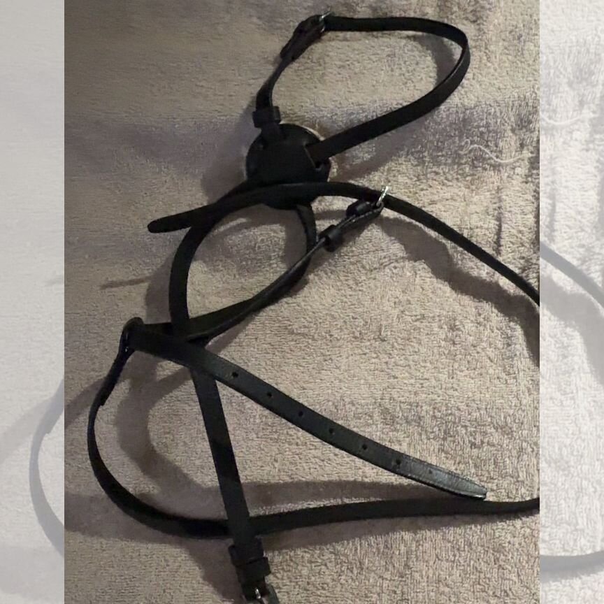 Шлейка кожа