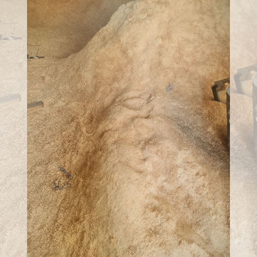 Опилки сосна