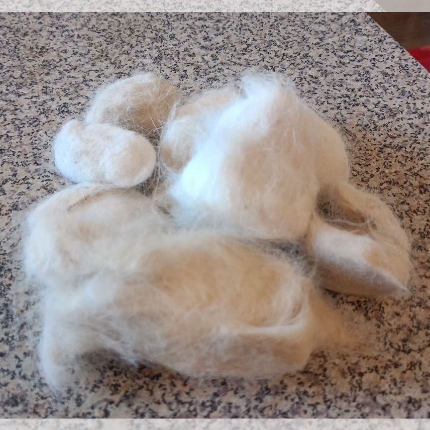 Кошачья шерсть тайского кота