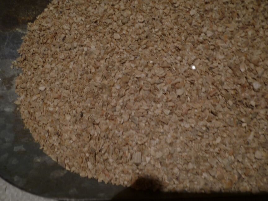 Ракушка кормовая