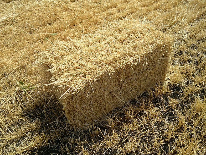 Солома оптом