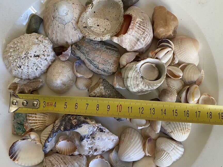 Камни и ракушки с морей