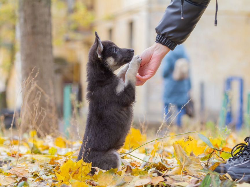 Девочка под кодовым именем "космо-детка"