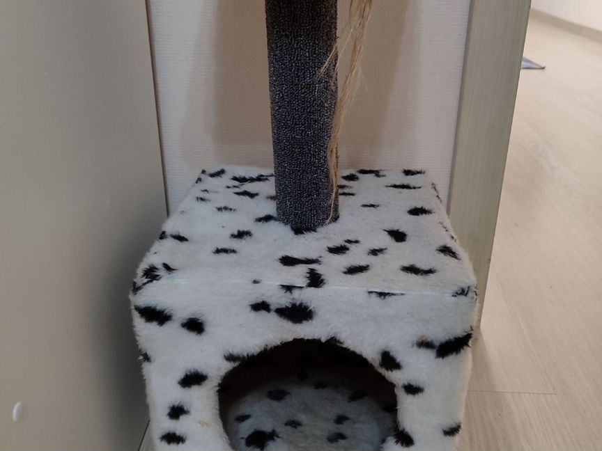 Домик для кошки с когтеточкой б/у