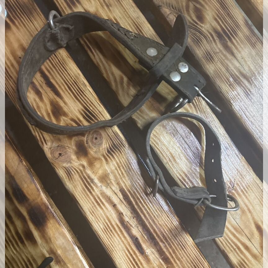 Ошейник для собак