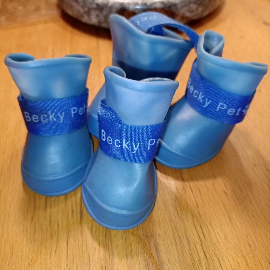 Резиновые сапоги для собачки