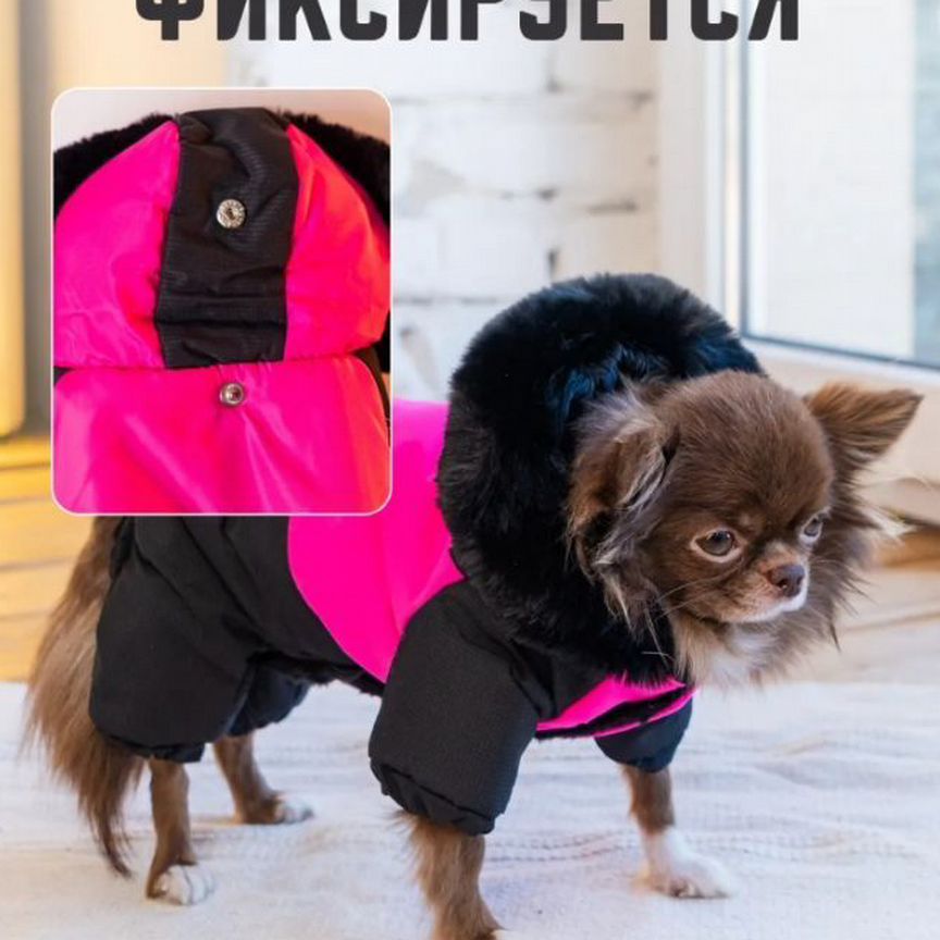 Одежда для маленьких собак зимняя