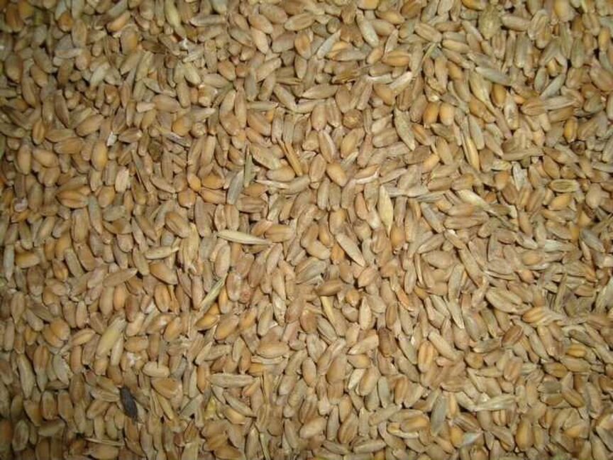 Зерносмесь