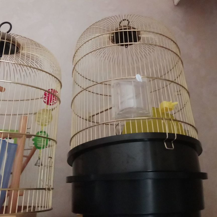 Клетка для попугайчика
