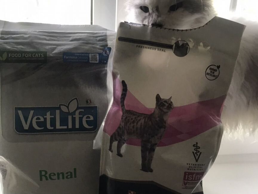 Сухой корм для кошек Farmina и Purina Pro Plan