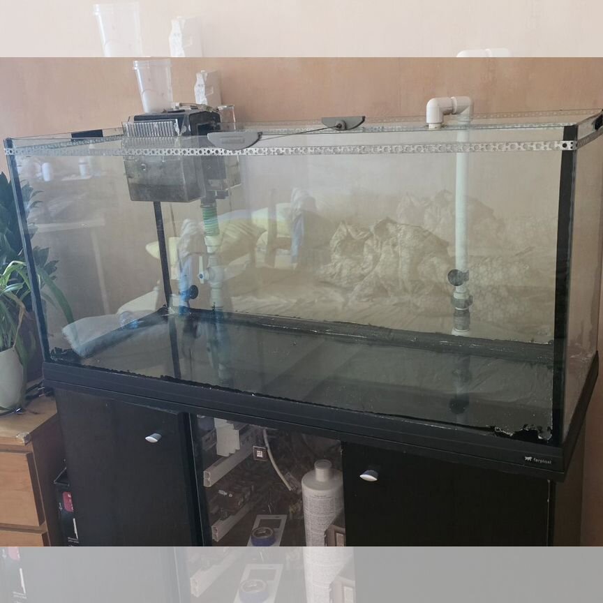 Аквариум,террариум