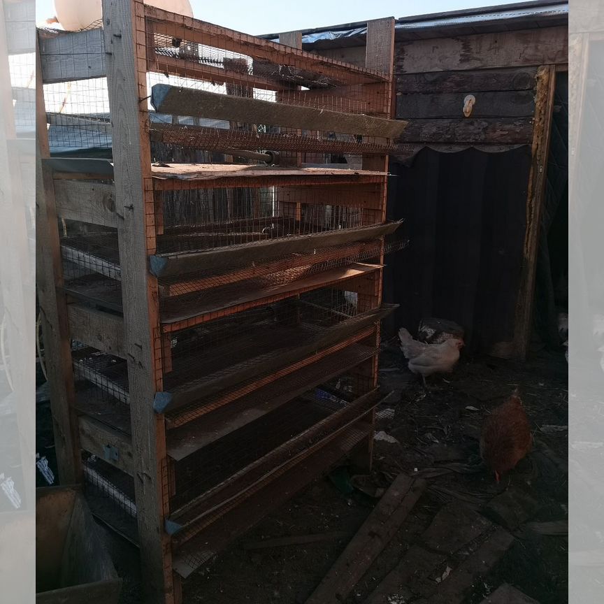 Клетки для перепелов бу