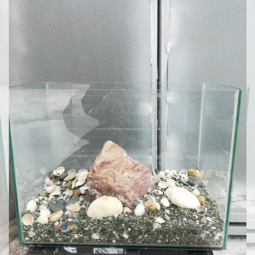 Аквариум с грунтом 15 л