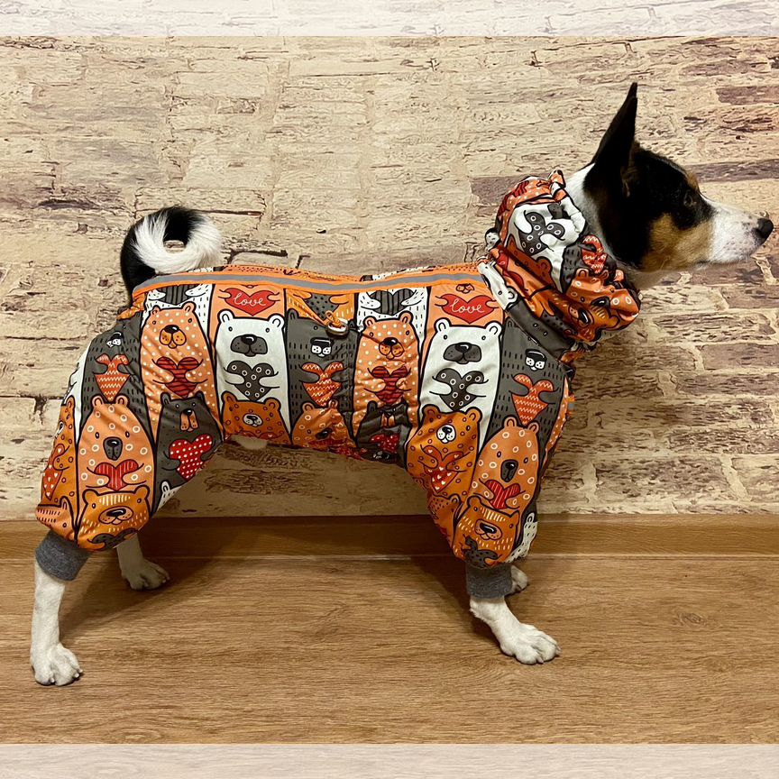 Одежда для басенджи