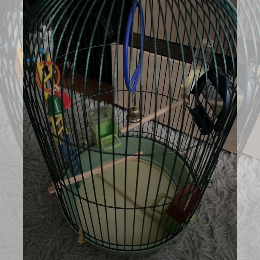 Клетка для попугая бу