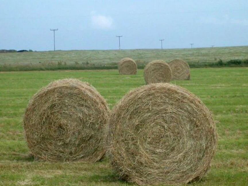 Сено луговое солома ячменная