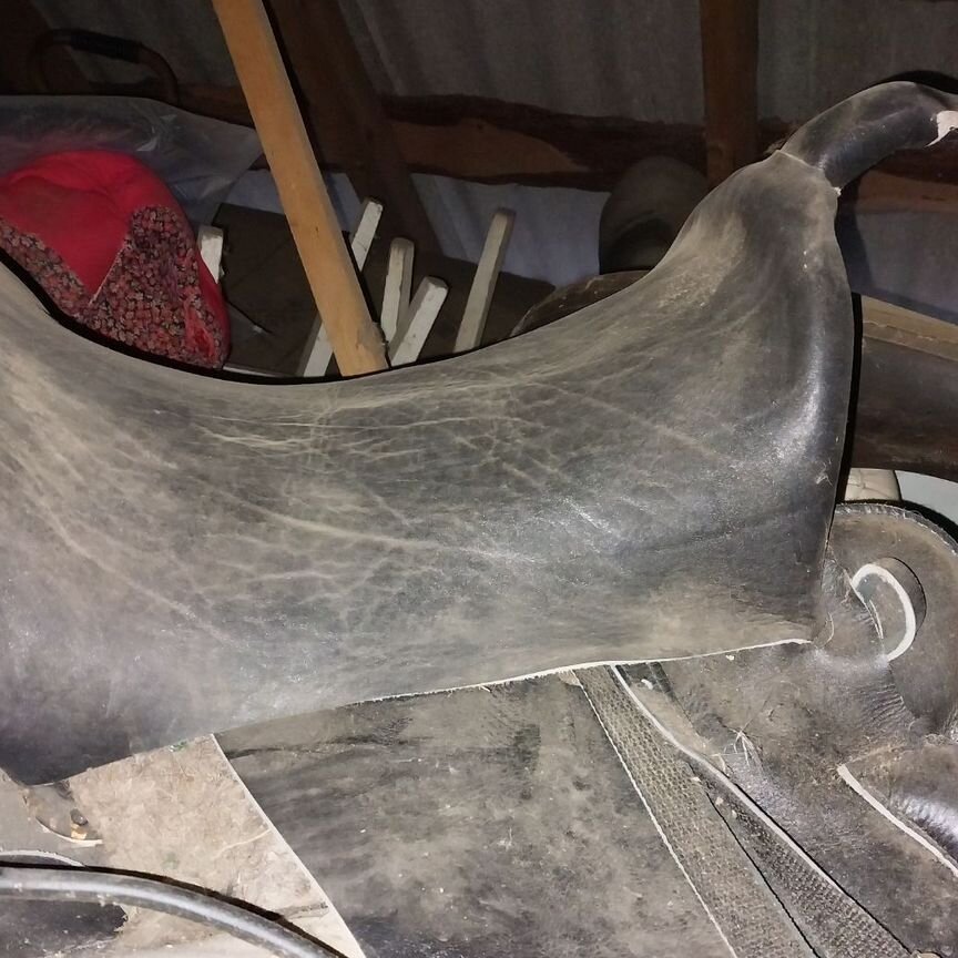 Седло для лошади новое