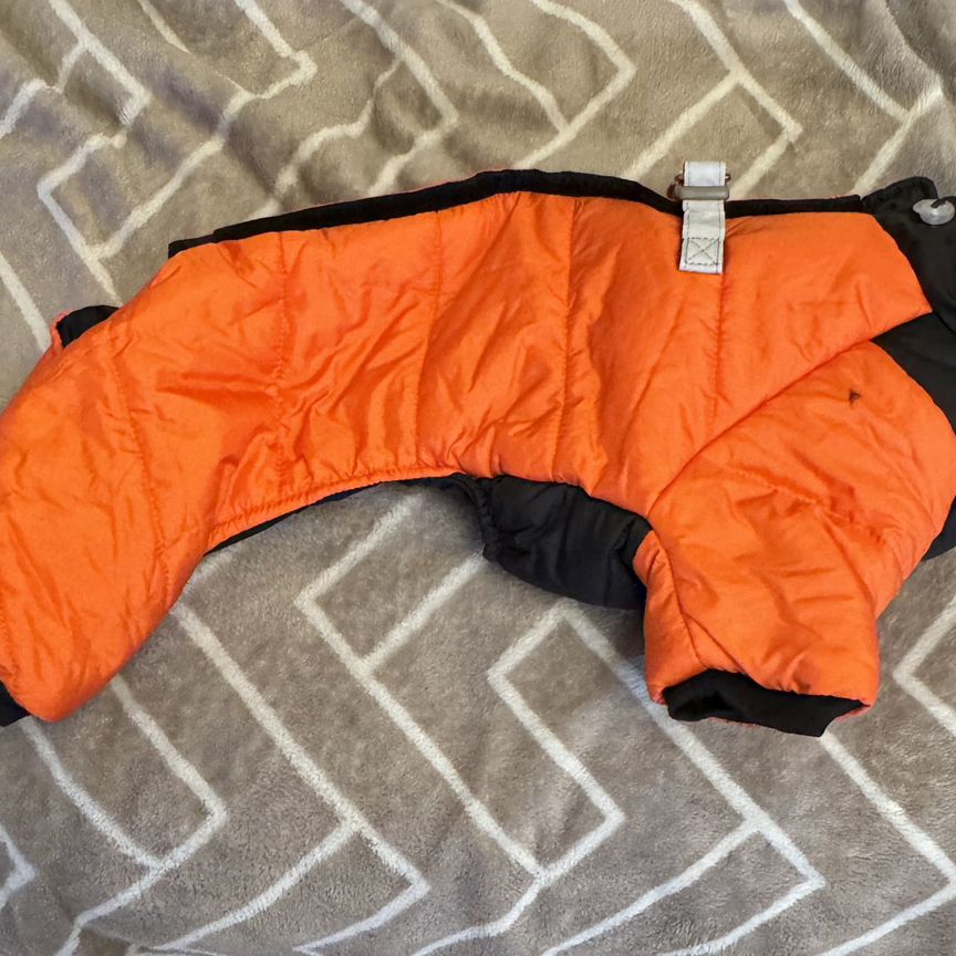 Комбинезон для собаки