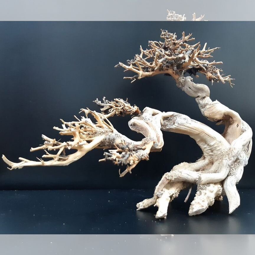 Коряга "Бонсай" 25х12х21см