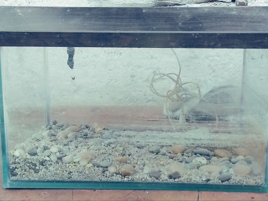 Аквариум 45л