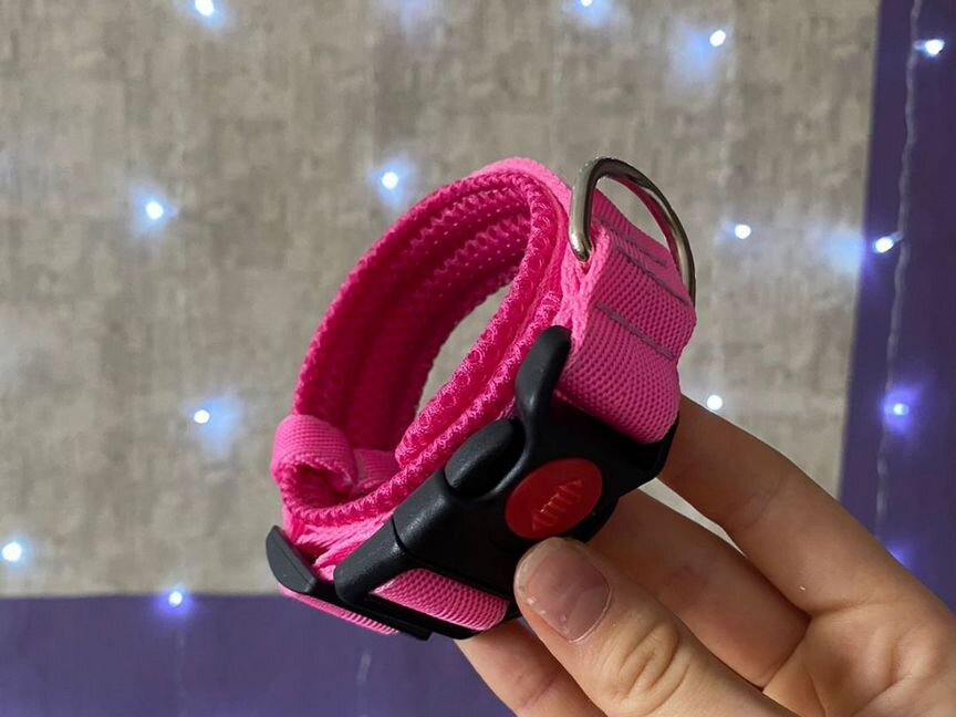 Амуниция для собак