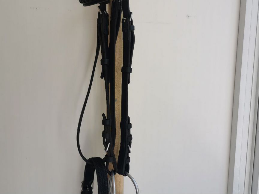 Уздечка в сборе фирмы poznan