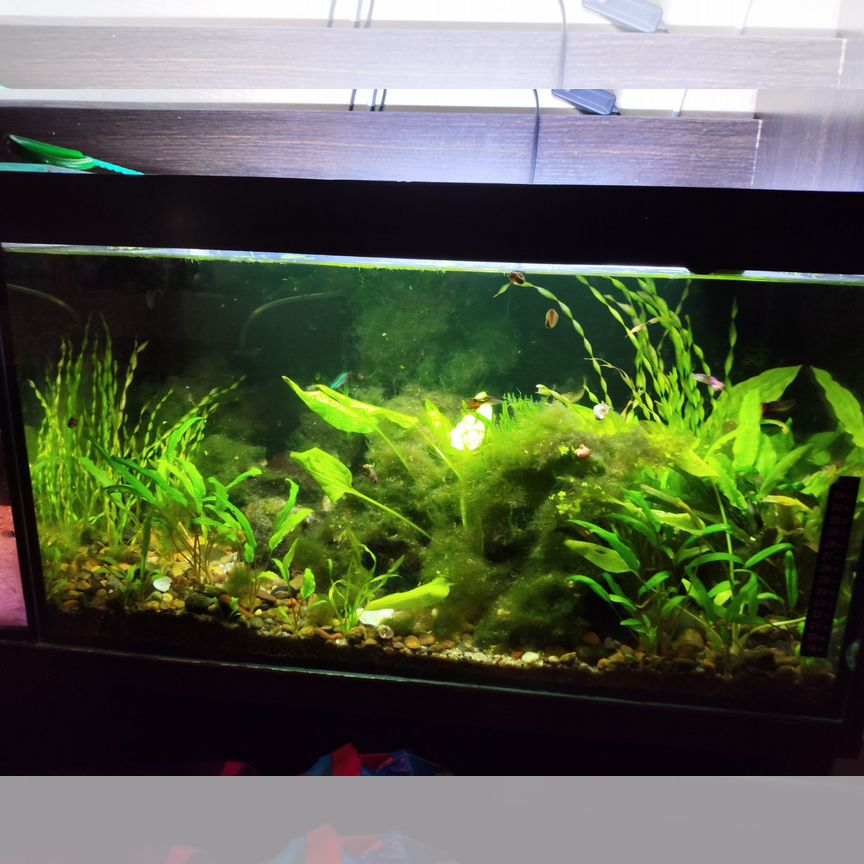 3 готовых аквариума на продажу