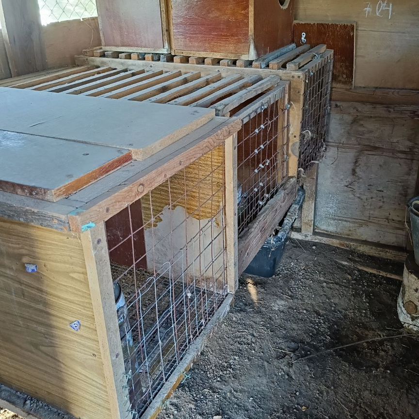 Клетка для кролика большая бу