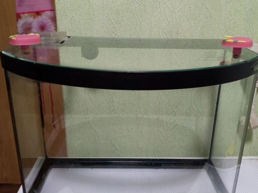 Аквариум, клетки для грызунов