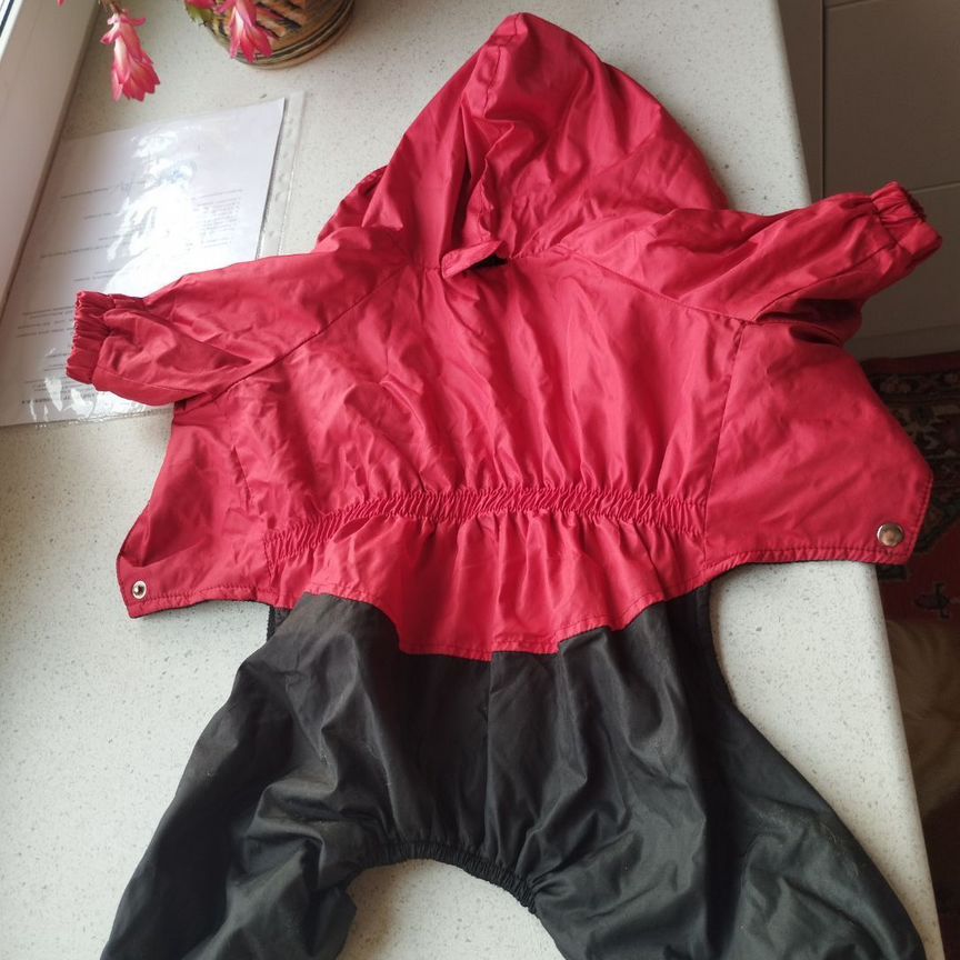 Костюм для таксы