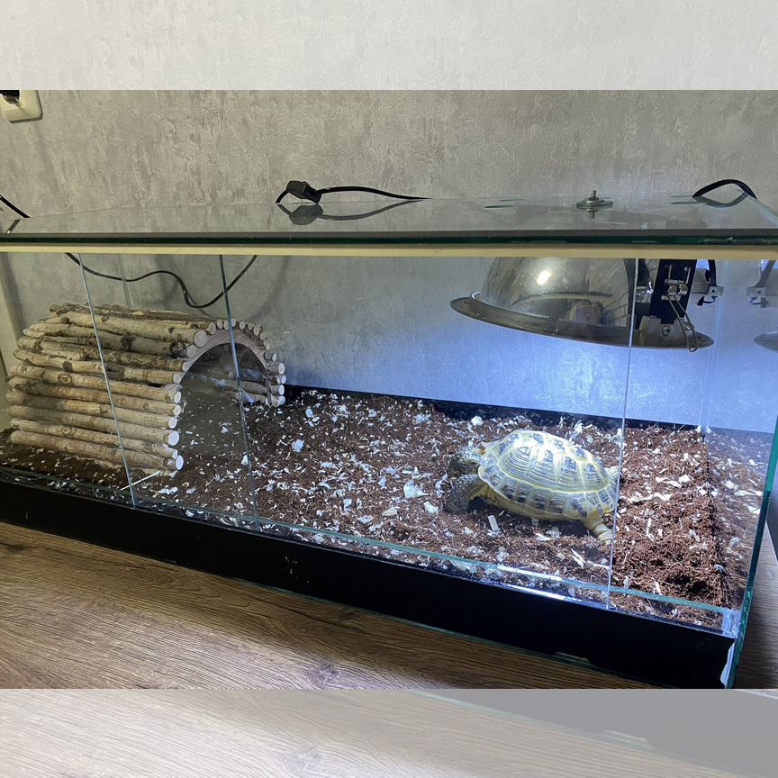 Террариум для черепахи